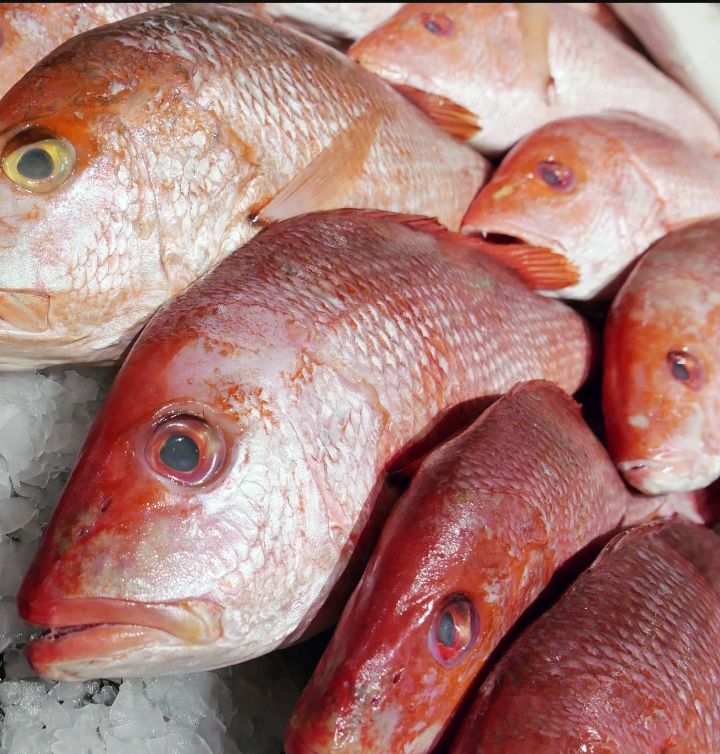 Recipe:The Nutritional fact of Red Snapper – Dr. Seyibaba Marketplace
